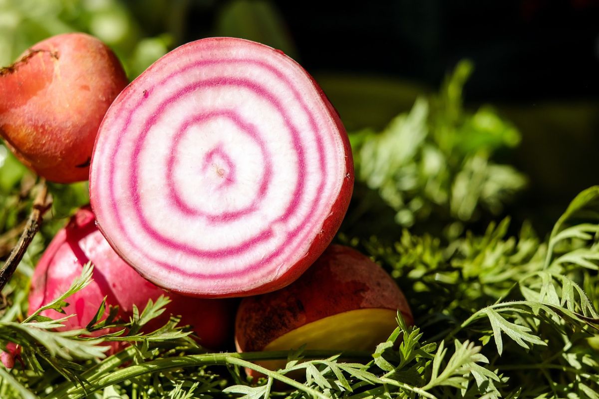 Beetroot Capsules Benefits - Charas Scientific